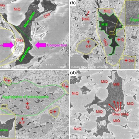 Sem Photographs Showing Different Mineral Compositions And Pore