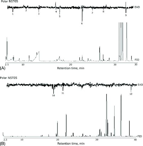 Gas Chromatography Electroantennogram Eag Analysis Using The Antennae Download Scientific