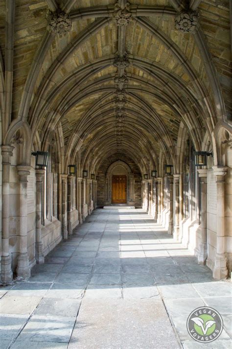 Cornell University Architecture 03 Vegan Voyagers