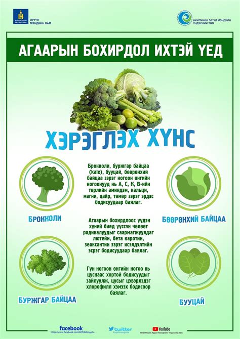 Агаарын бохирдол ихтэй үед хэрэглэх хүнс