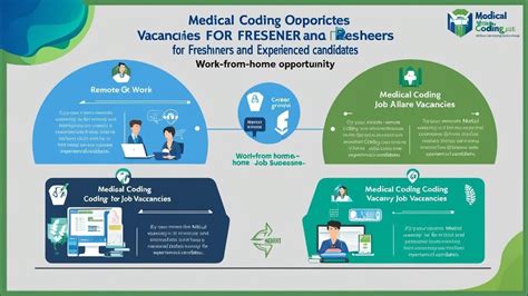 Medical Coding Job Vacancies For Fresherexperience Candidate In