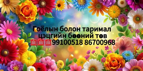 Таримал цэцэг үр үрсэлгээ ургуулах болон зөвлөгөө өгөх Facebook