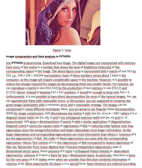 Solved Figure 1 Lena Image Compression And Data Analysis