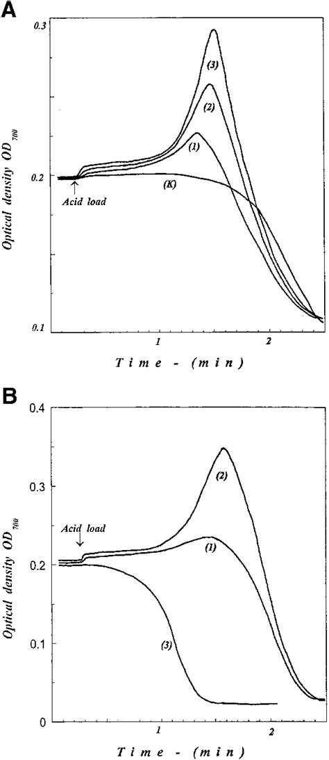Hcl Induced Hemolysis Of Ghosts At Di¡erent Transmembrane Gradient Of