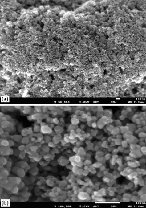 Fe Sem Photograph Of Nanoporous Tio2 Films Showing The Surface