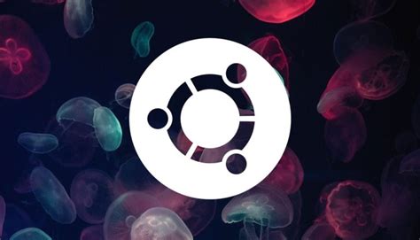 What To Look Out For In Ubuntu LTS Jammy Jellyfish Dignited