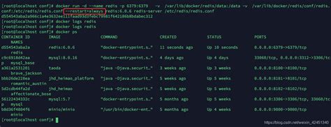 docker 启动redis6 0 一直重启中 redis 反复重启 无提示 csdn博客