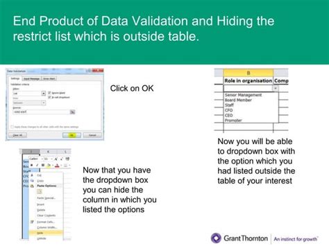 Excel Presentation Data Validation Pptx