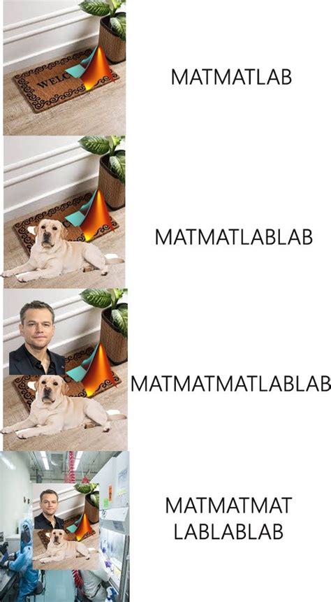 Mathematics Laboratory R Matlab