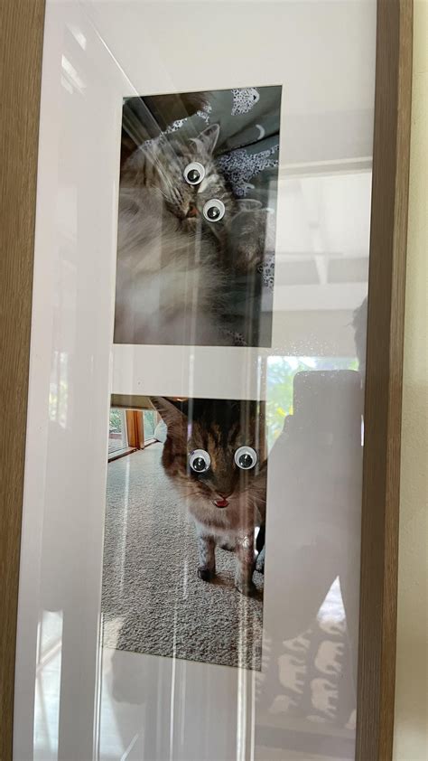 My First Contribution At My Brothers House While He Was On Holidays
