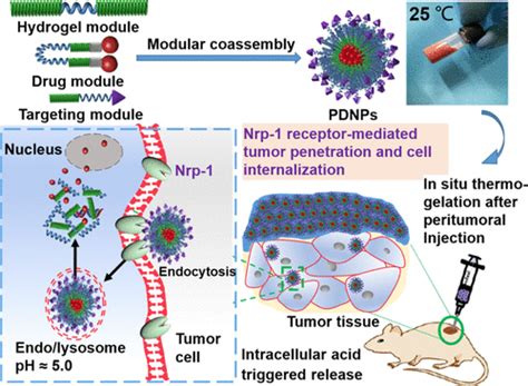 Injectable Biodegradable Thermosensitive Nanoparticles Aggregated Hydrogel With Tumor Specific