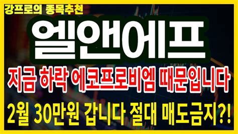 엘앤에프 주가전망 지금 하락 에코프로비엠 때문입니다 2월 30만원 갑니다 절대 매도금지 엘앤에프 엘앤에프주가전망 엘앤에프주가 Youtube