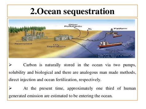 Carbon Sequestration And Its Types