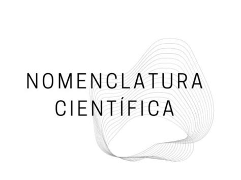 Sistema De Nomenclatura Binominal Bruna Kelly Quizur