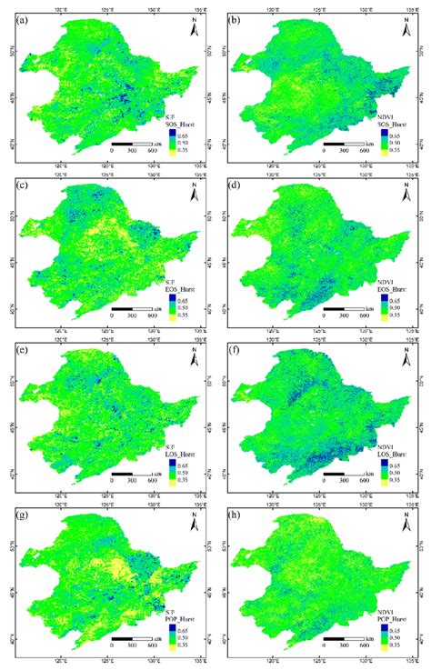 spatial pattern of vegetation phenology parameter persistence in