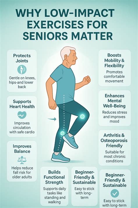 12 Best Low Impact Exercises For Seniors Stay Strong And Mobile