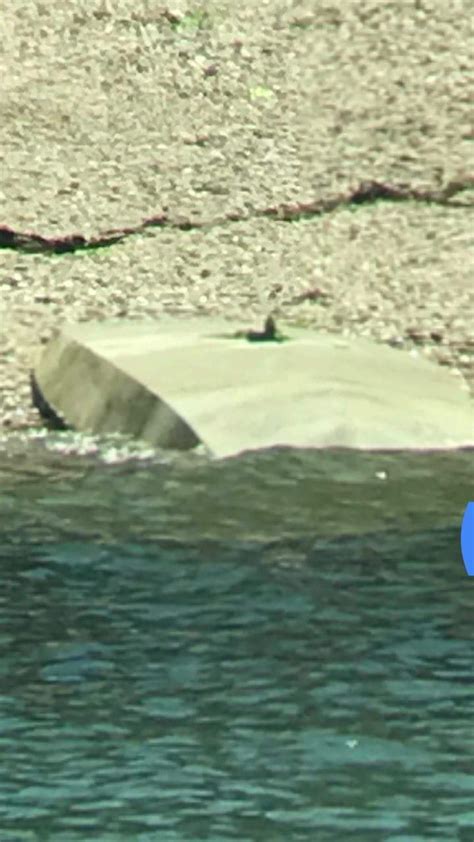 What Happened To Sofia Mckenna What Happened To Sofia Mckenna