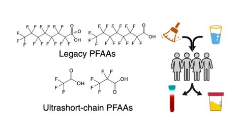 Fluorinated Ultrashort Chain Pfas Compounds Have Similar Detection Rates To Legacy Forever