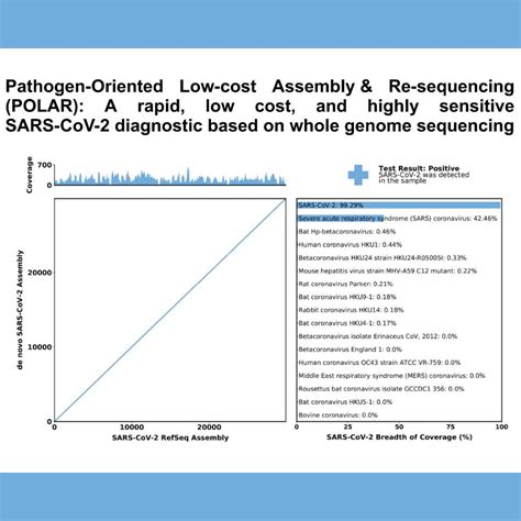 Pathogen Oriented Low Cost Assembly And Re Sequencing Polar A Highly Sensitive And High