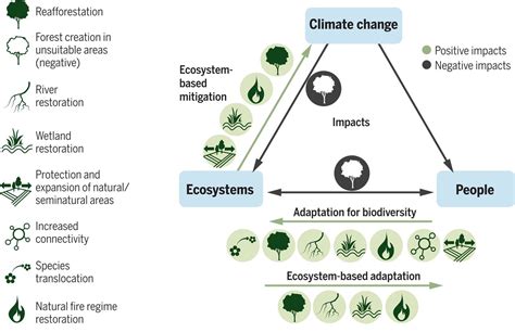 Examples Of Environmental Mitigation At Eileen Crofts Blog