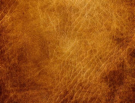 بایگانی محصولات ويژه صفحه 457 از 1197 طرح لایه باز گرافیک با طعم