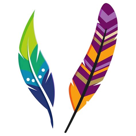 Premium Vector Colorful Feather Vector