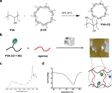 β Cyclodextrin Functionalized Agarose Based Hydrogels For Multiple
