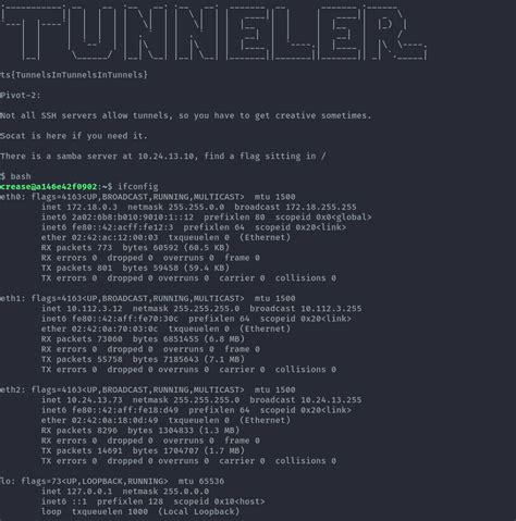 Grayhat Red Team Village Ctf 2020 Writeup Tunneler Ikuamike