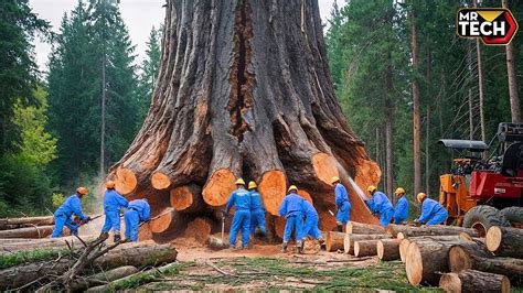 Extreme Dangerous Fastest Big Chainsaw Cutting Tree Machines Monster Stump Removal Excavator