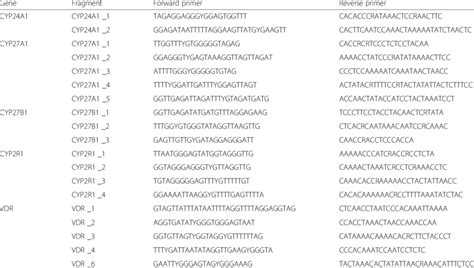 Primers Designed For Multiplex Pcr Download Table