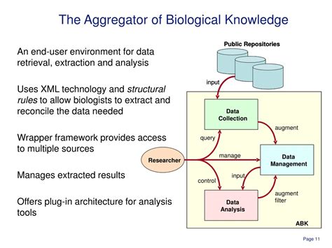 ppt large scale knowledge aggregation for infectious diseases