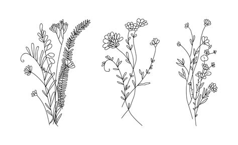 Wildflower Line Art Bouquets Set Isolated 54957007 Vector Art At Vecteezy