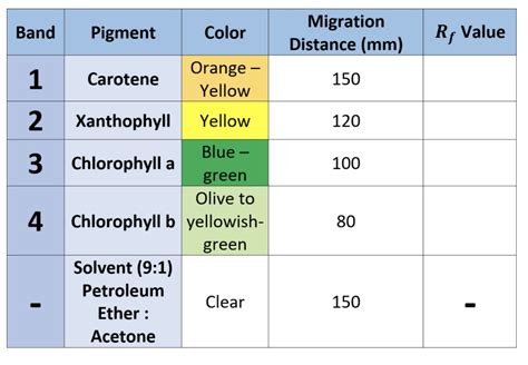 Solved Calculate The Rf Values Of The Following
