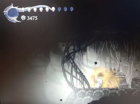 Discuss Everything About Hollow Knight Wiki | Fandom