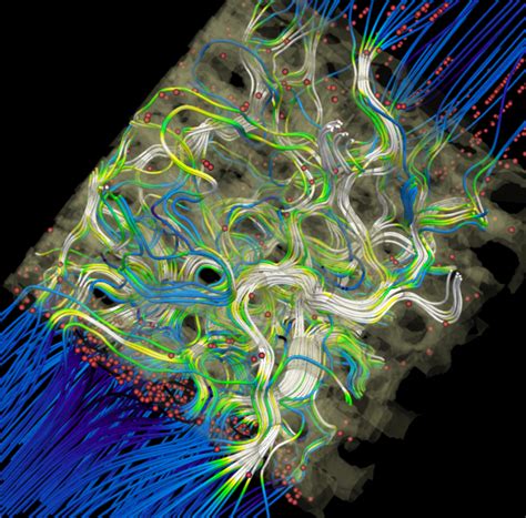 New Materials And Processes Fau Profile Center