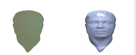 Output Result Issue Philgras Neural Head Avatars GitHub