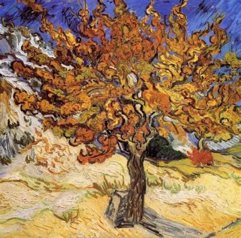 Tree Identification 12th Grade Quiz Quizizz