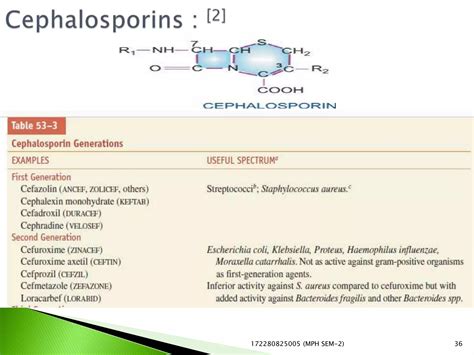 Beta Lactams Antibiotics And Beta Lactamase Inhibitors Pptx