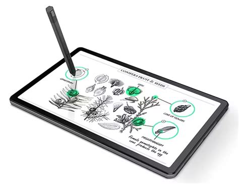 Lenovo Tab M Plus Gen Review An Affordable Tablet With Great Battery Life Design And