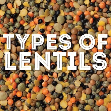 9 Types Of Lentils And How To Use Them Live Eat Learn