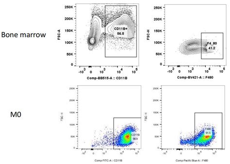 Results For Csf 1m Csf Abclonal