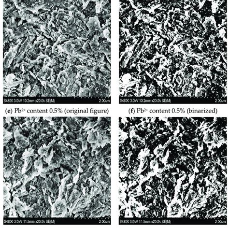 Microstructure Of Soil After 5 Days Of Contamination With Different