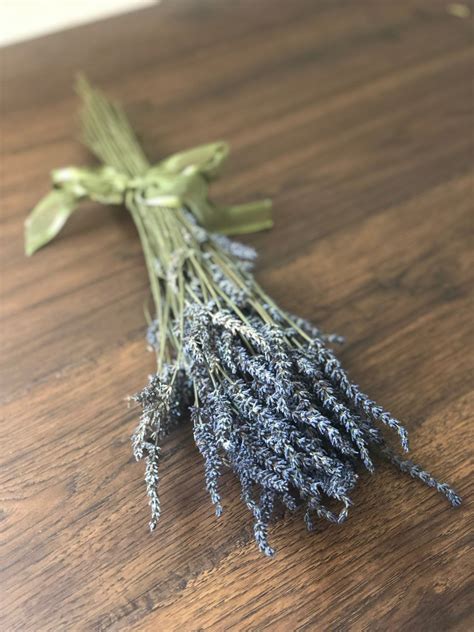 Dried French Lavender Bouquet Grosso Lavender Purple Floral Decor Etsy