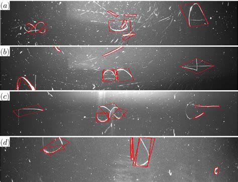 A D The Captured Images Of The Line Scan Camera And Corresponding Download Scientific