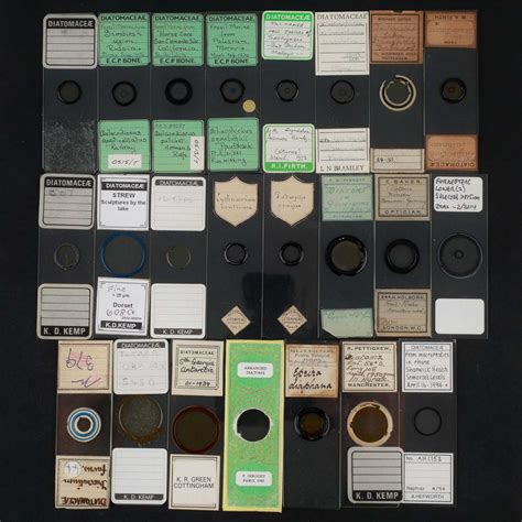 Lot 246 Collection Of Microscope Diatom Slides