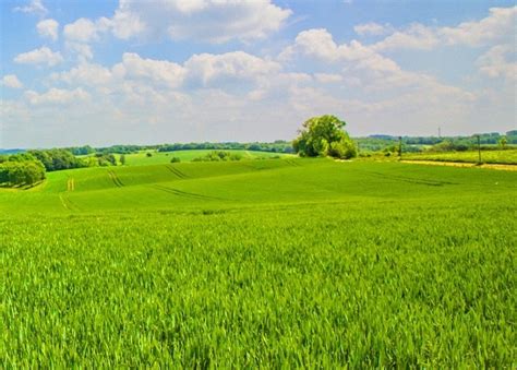 Купить земельный участок под ИЖС в Екатеринбурге продажа земли от собственника Земля 96