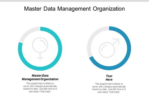 Master Data Management Organization Ppt Powerpoint Presentation Summary