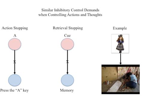 Stopping Actions And Thoughts Make Similar Inhibitory Control Demands Download Scientific