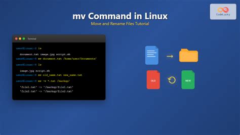 Mv Command In Linux Complete Guide To Moving And Renaming Files Codelucky