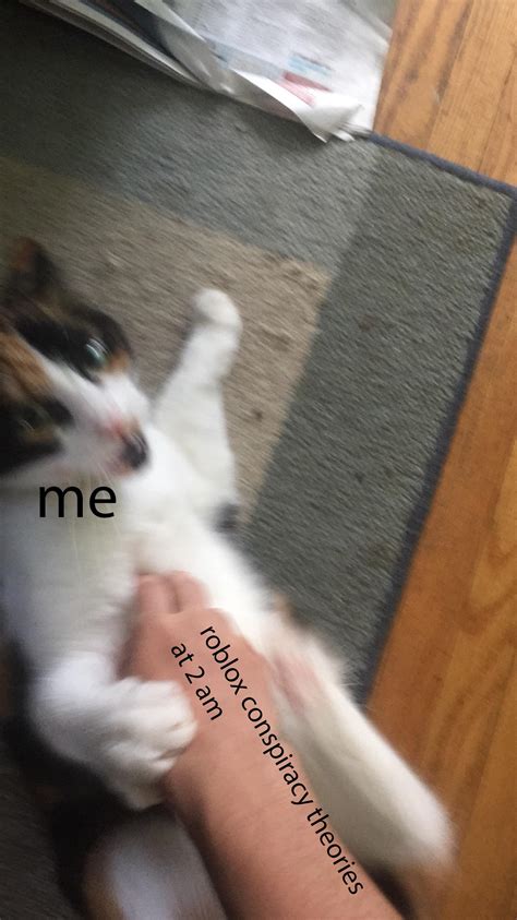 I Swear I Saw Herobrine On My Roblox Server R Dankmemes